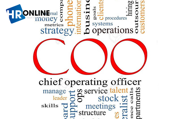 CCO là gì ? Tại sao thuật ngữ CCO lại có nhiều khái niệm như vậy